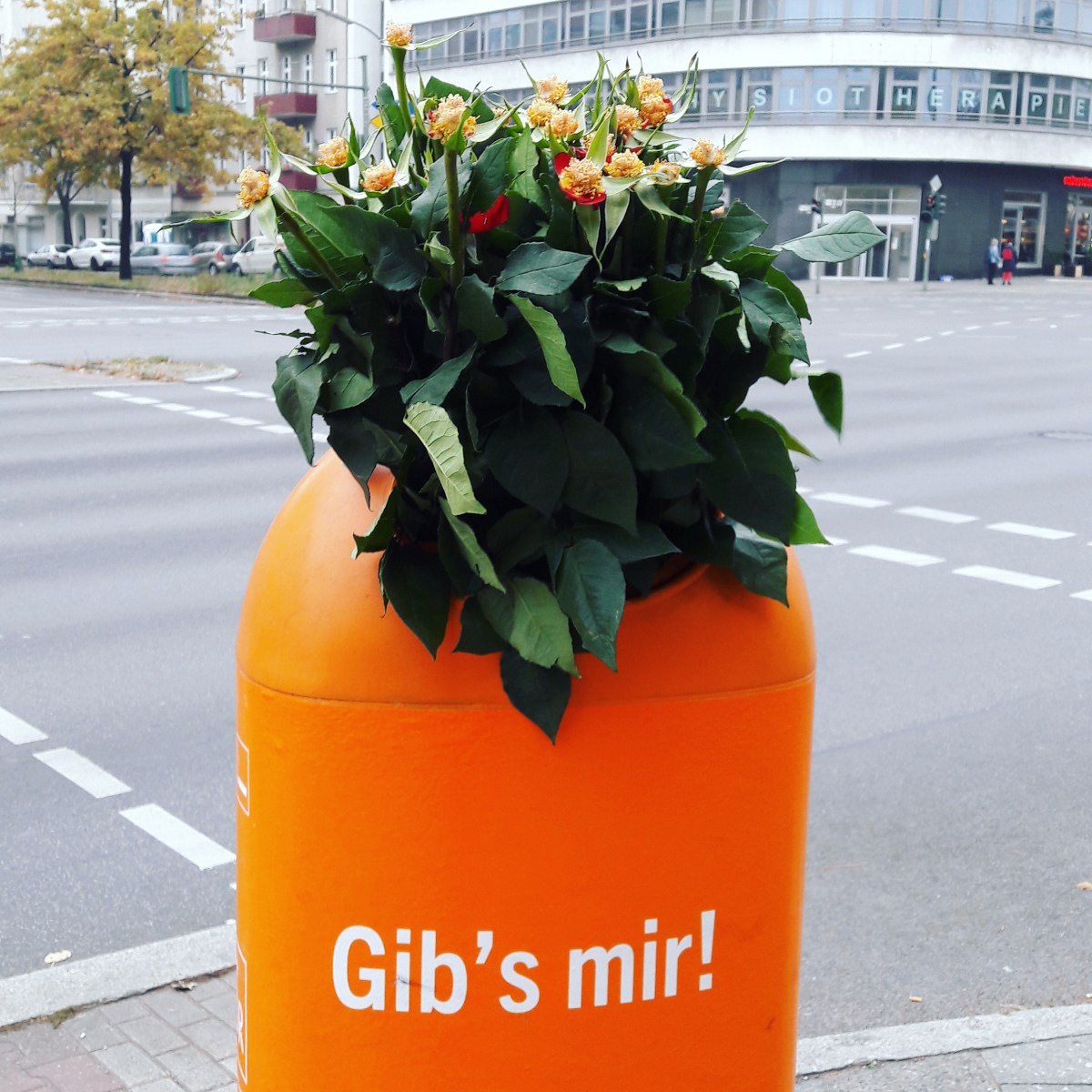 TinderDate: 36 Fragen.